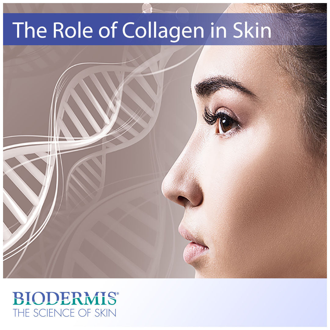 The Role of Collagen in Skin Health | Biodermis.com