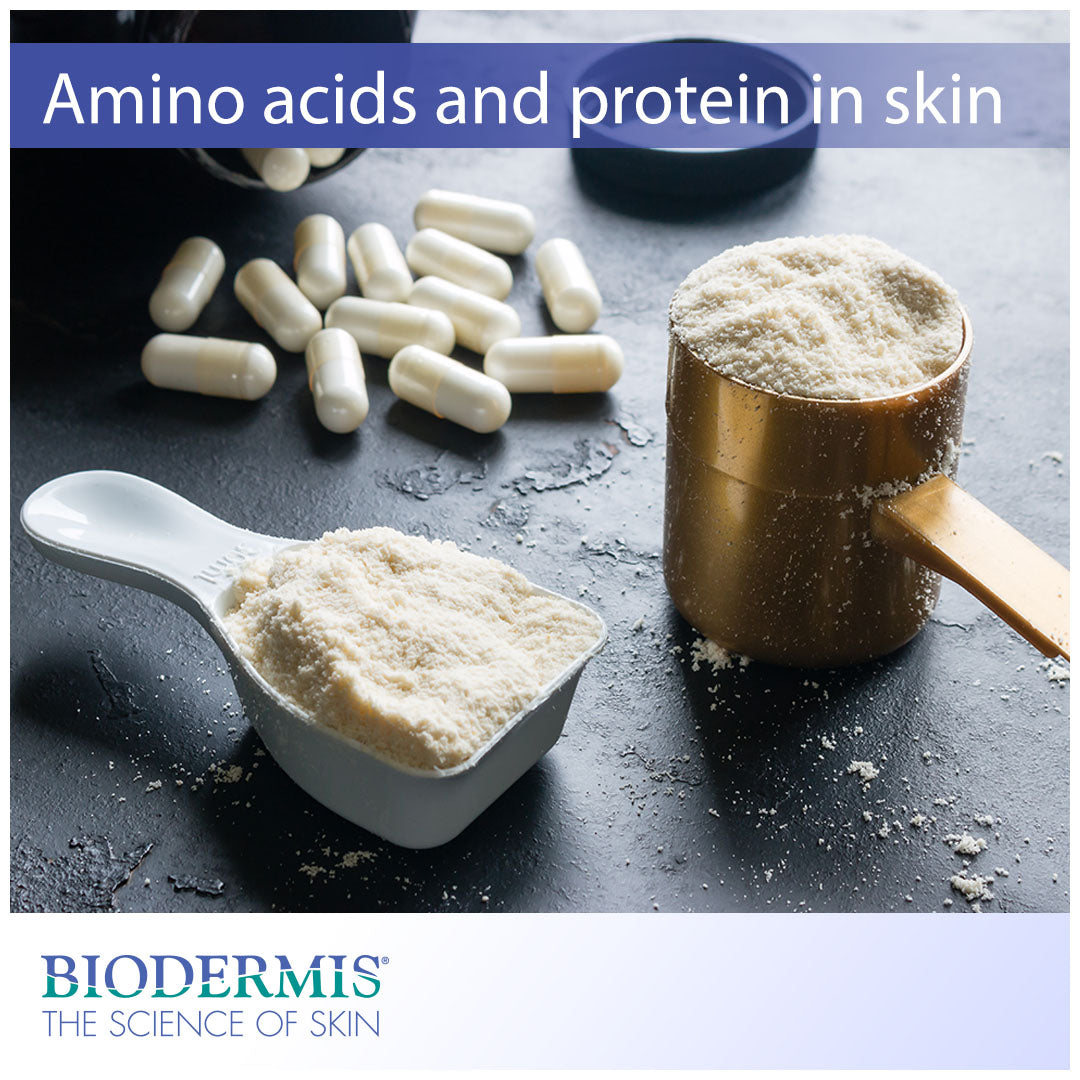 The Role of Proteins and Amino Acids in Skin Health | Biodermis.com